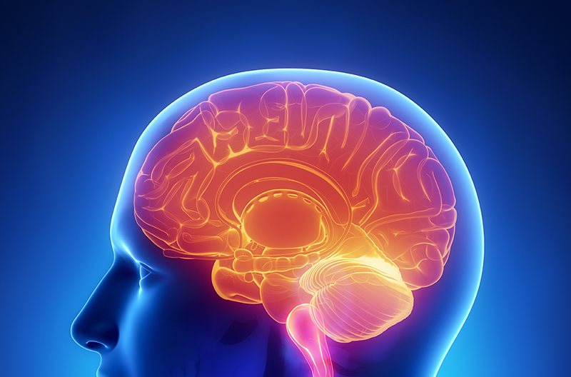 Dopamine Transporter Uptake Scan for Parkinson's Disease & Lewy Body ...